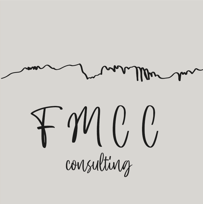 FMCC Srl - Consulting services